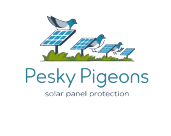 Pesky Pidgeons Adelaide | Solar Panel Bird Protection Specialists